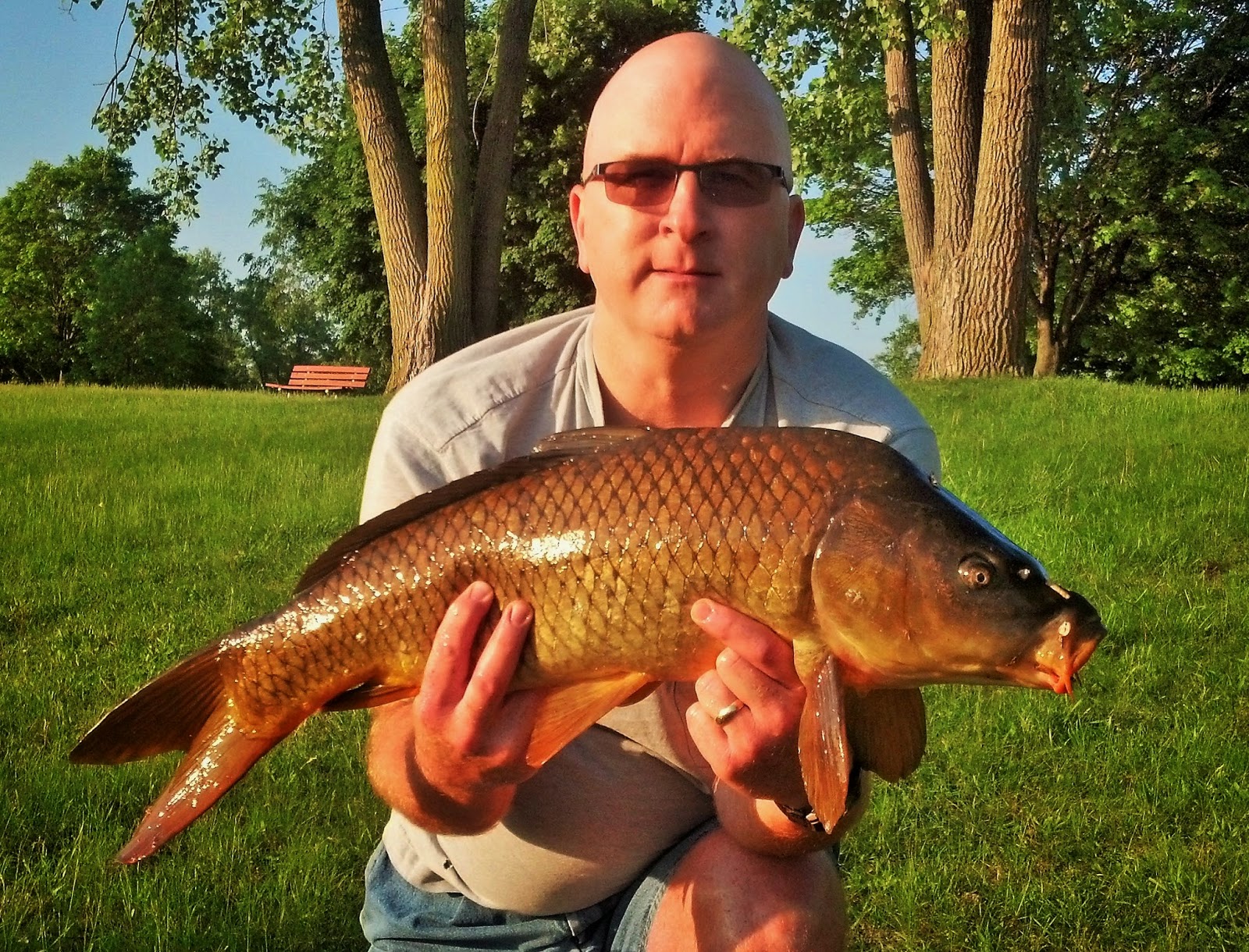 Michigan Carp Fishing Blog: Morning Carp Session