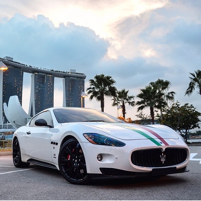 Mengintip Potensi Usaha Rental Mobil | SURYA RENT CAR