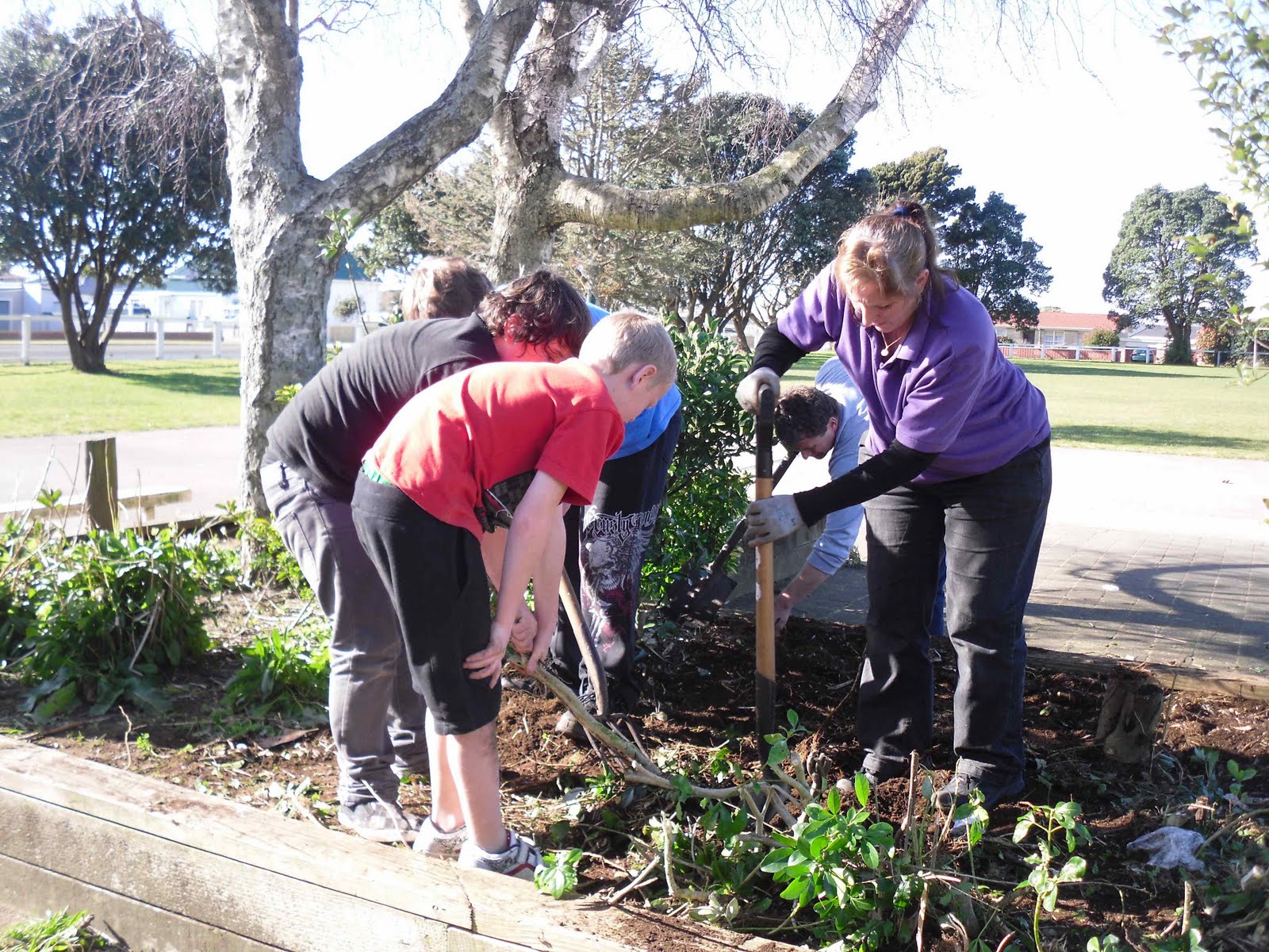 Our School Vege Garden Project: The Big Clean Up