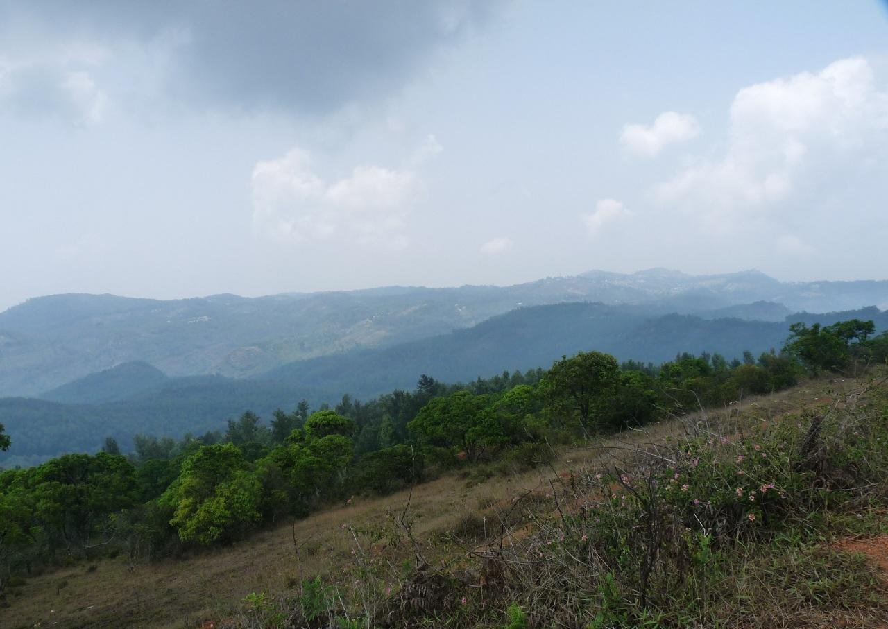 Tamilnadu Tourism: 32-Km Loop Road, Yercaud