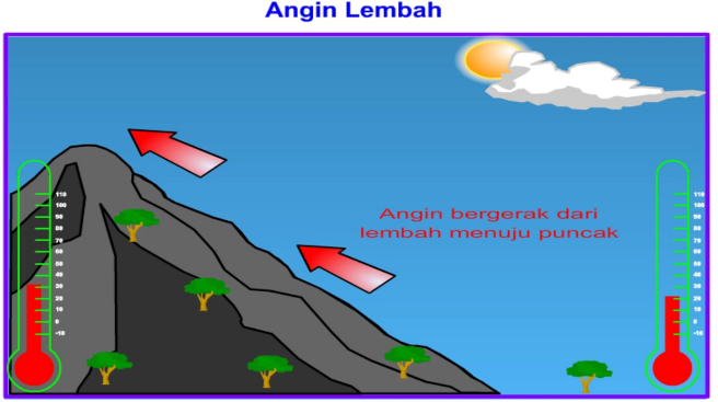 MENGENAL JENIS JENIS ANGIN | IKAN DAN LAUT