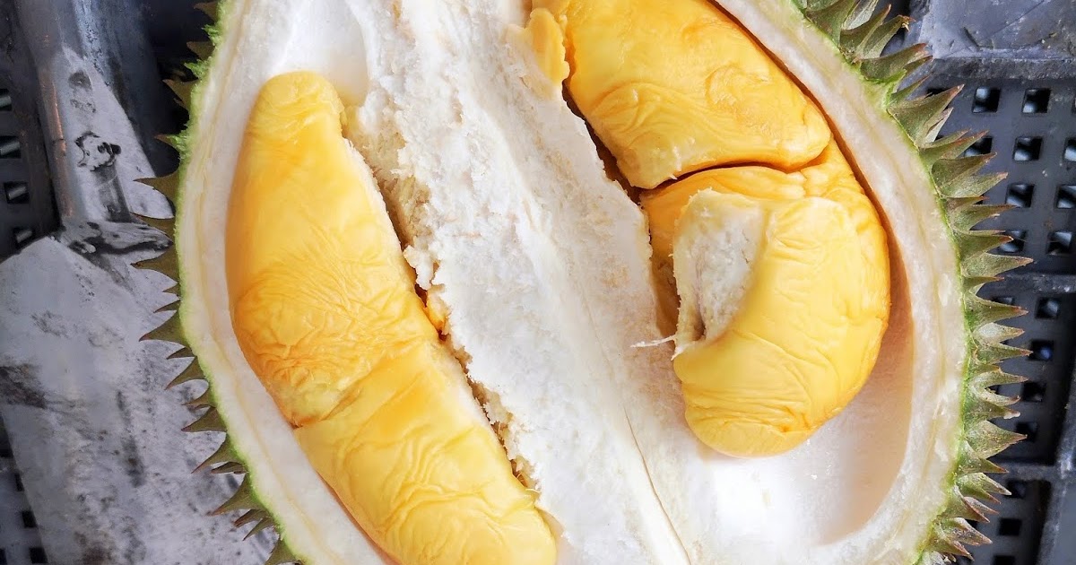 D101 Durian from Johor. Humble but Delicious Mao Shan Wang Alternative ...