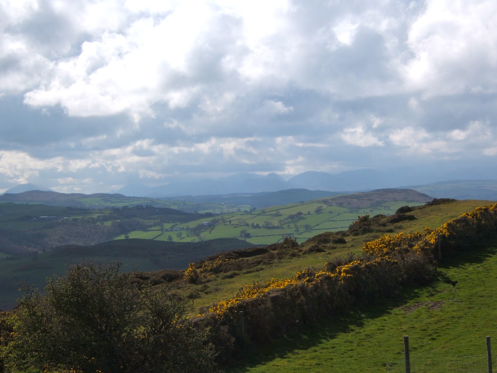 Martys` walks: Mynydd Y Gaer from Llannefydd - 3rd April - 5 miles ...
