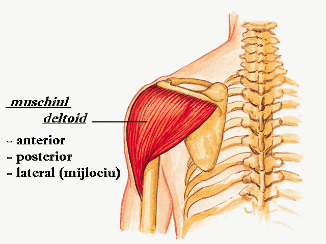 Angel Blue: februarie 2014