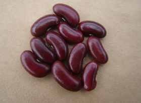 How farmers can double their bean yield production