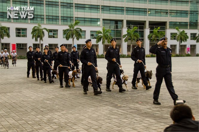 1/6 Gallery: SPF K-9 Unit