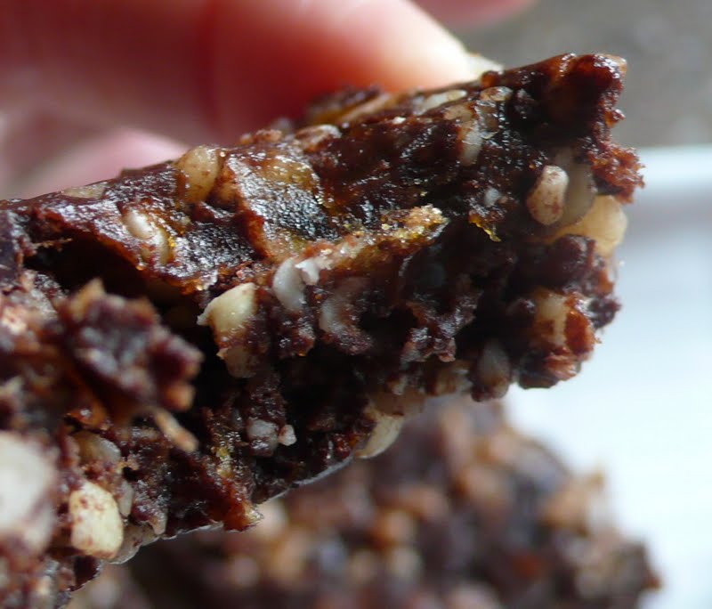 Food Endeavours of the Blue Apocalypse: Raw Brownies
