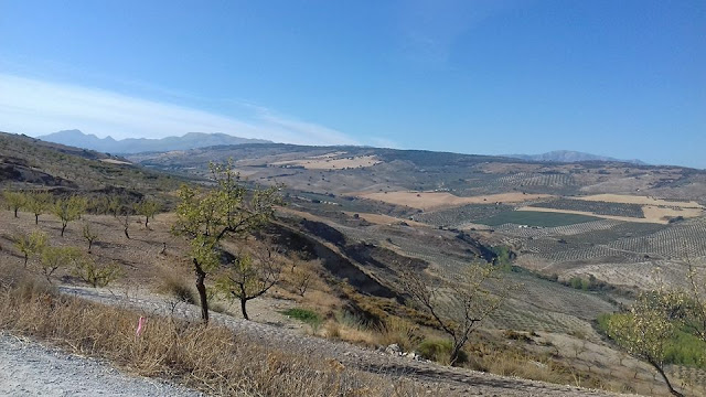 A VISTA DE PÁJARO...: Río Cacín