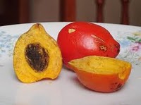 buenisimo: EL CULTIVO DE TEMBE