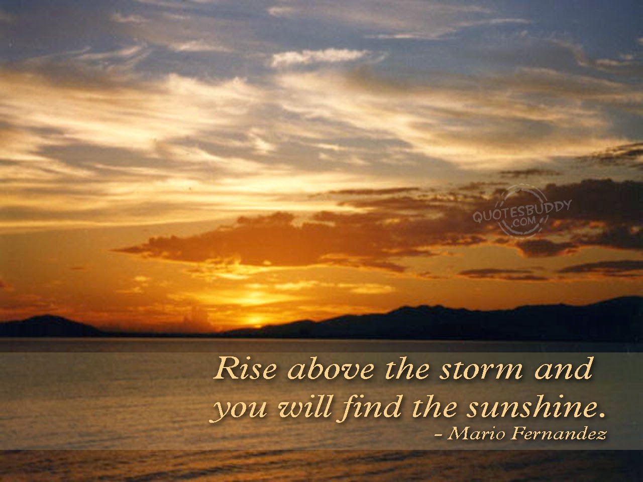 Daily Quote to think about: Rise above the storm and you will find ...
