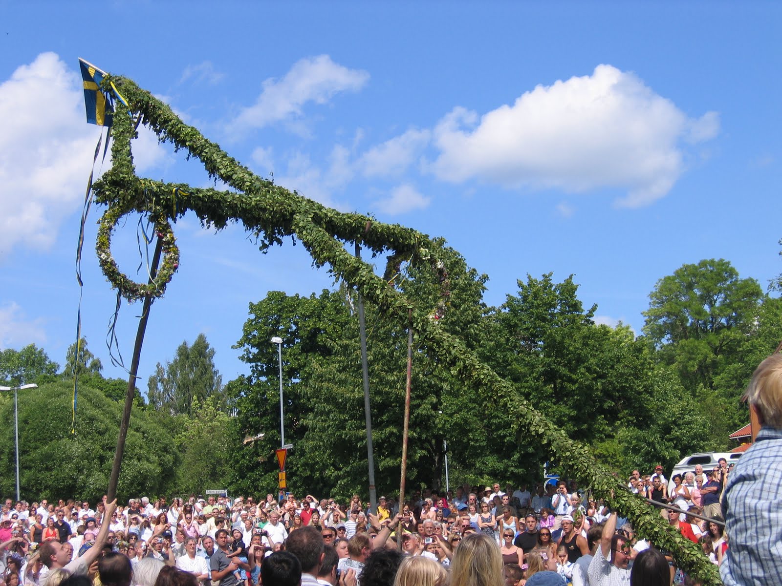 Glad midsommarafton from all the Scandinavians! : r/gaybros