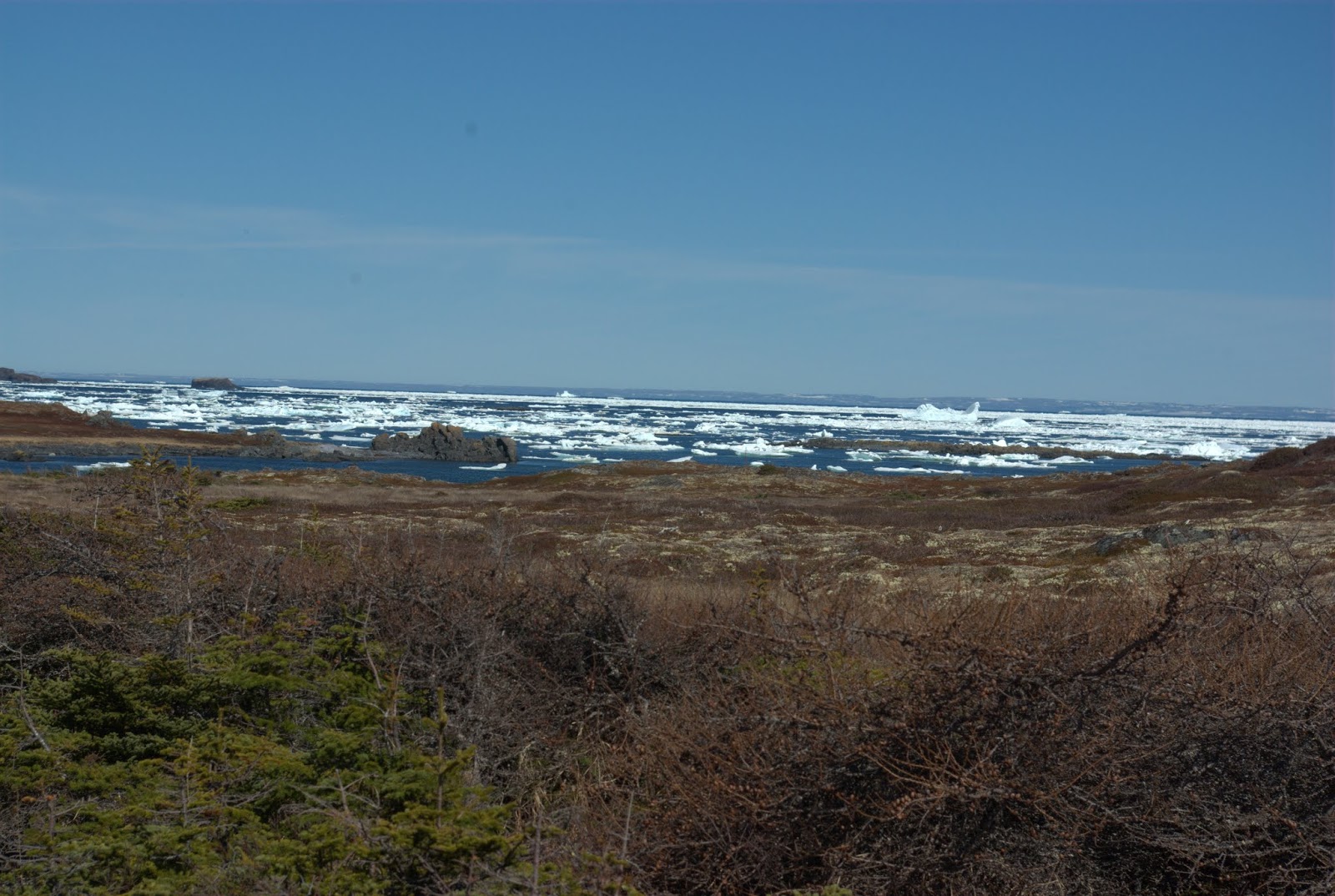 The Three Ocean Tour: A Sunny Day Touring Around the North End of the ...