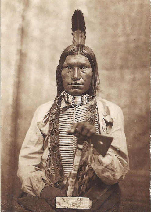 daily timewaster: Low Dog, Oglala Sioux Chief 1876