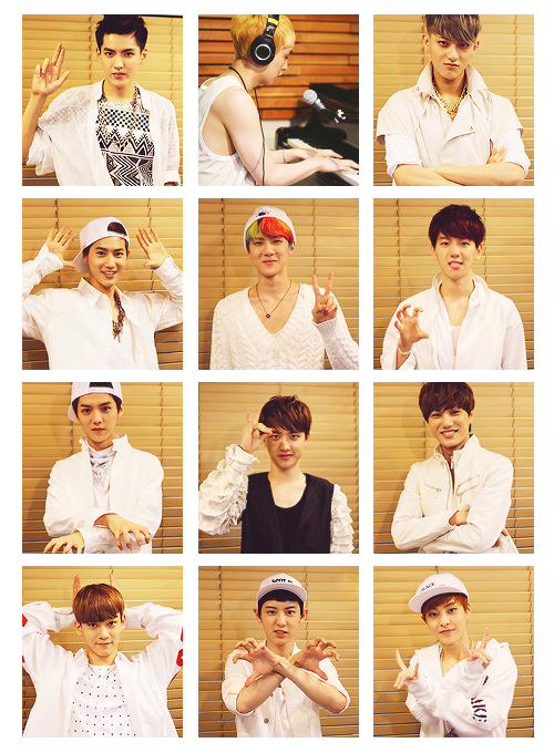 WAFFLE FOR BATTLE: EXO RELEASES "WOLF" MV!