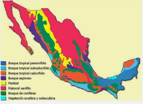 Tropical Ecology Notebook : Biomes of Mexico (Map)