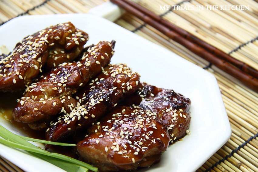 My Trials in the Kitchen: Teriyaki Chicken