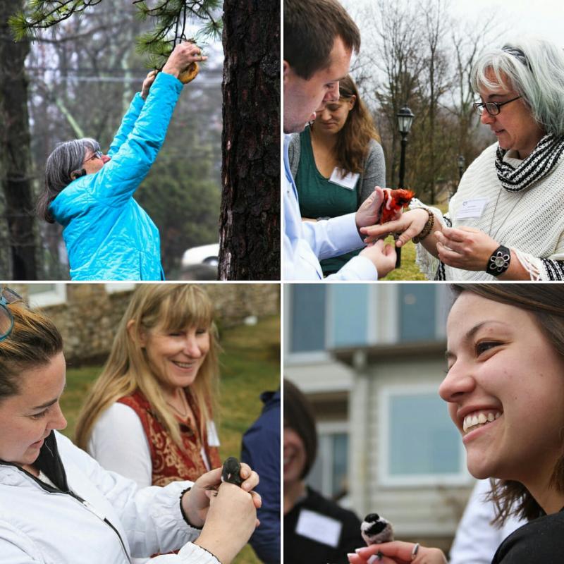 PA Environment Digest Blog: PA Environmental Educators Accepting ...