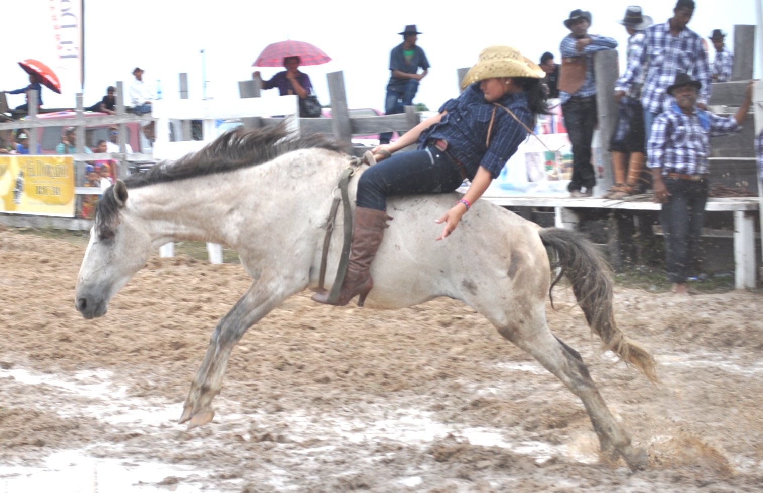 It's Always Sunny In Guyana: Rodeo...Rodeo..RO-DE-OOO!!!!