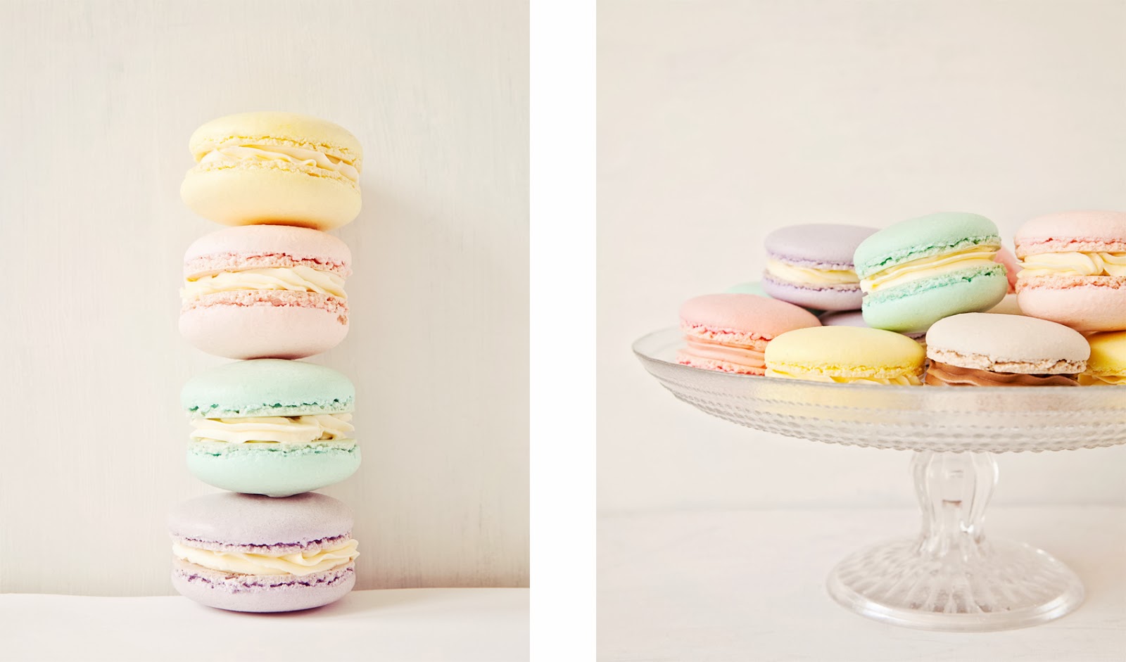 Susannah Tucker Photography: Pastel Macarons