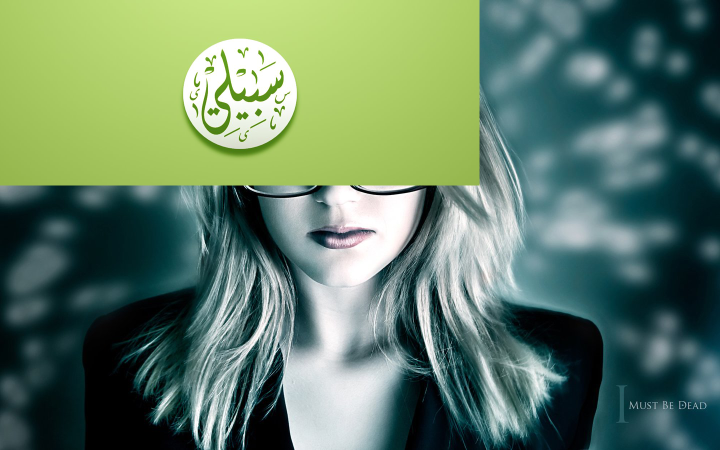 Linux Sabily: tutorial 11 - Idm di Sabily 11.10