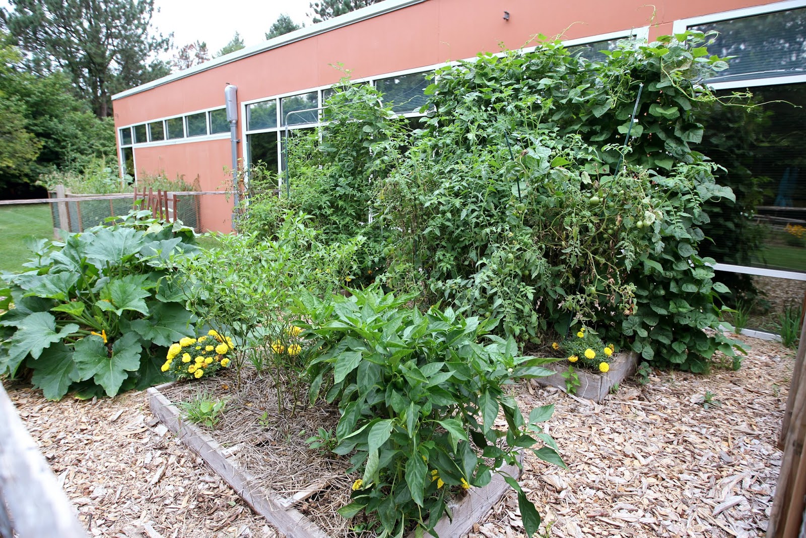 Mark Kodiak Ukena: Vernon Area Public Library Garden