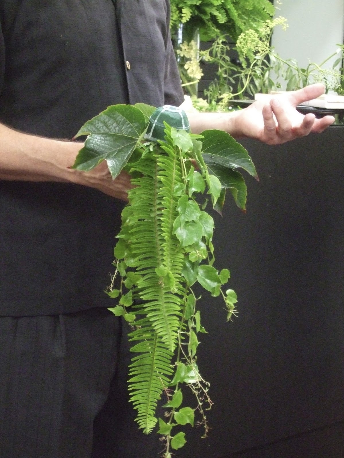 Floral Ambiance by Deborah Di Bella AIFD: Wildflower Workshop with René ...