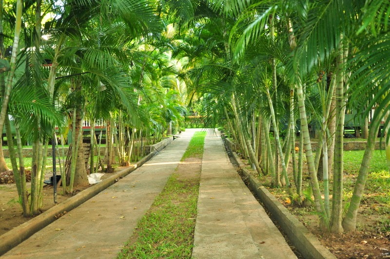 Images of Sri Lanka on blogspot.com: Views from the 'Centuria Lake ...