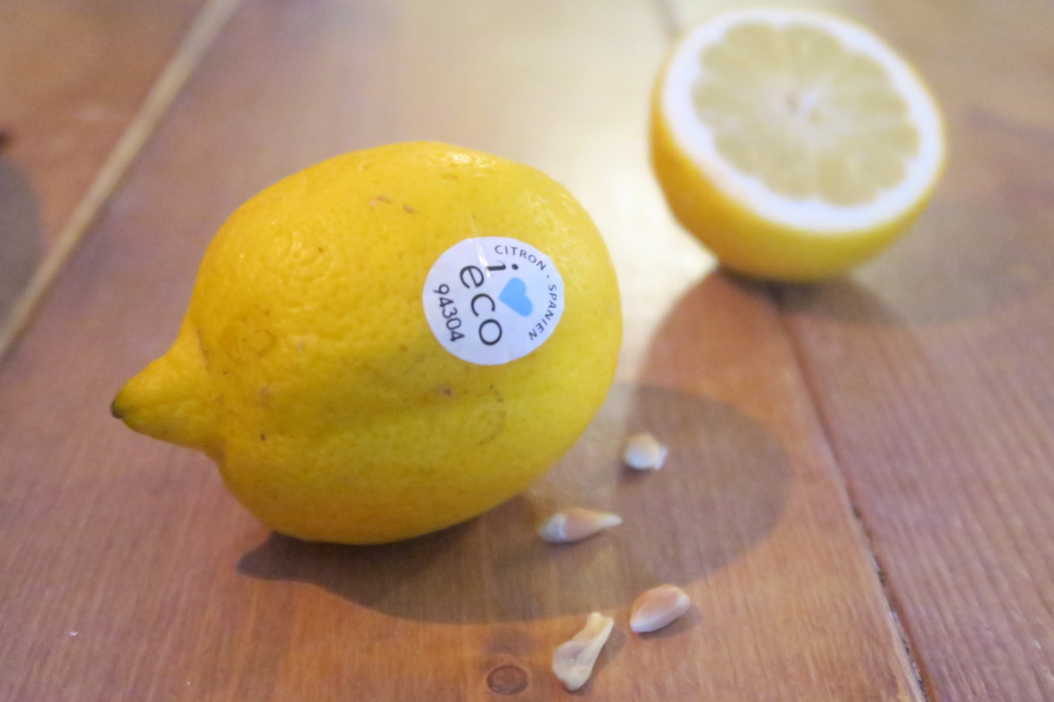 Sätta citronfrö med förhoppning om att få ett citronträd