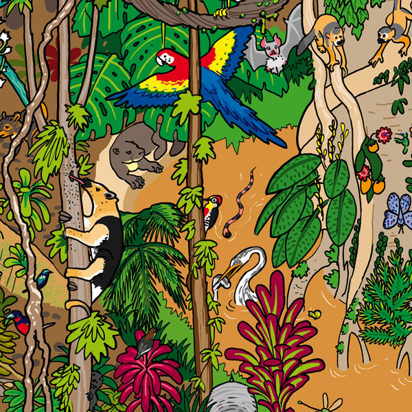 daniel sponton: Amazonas