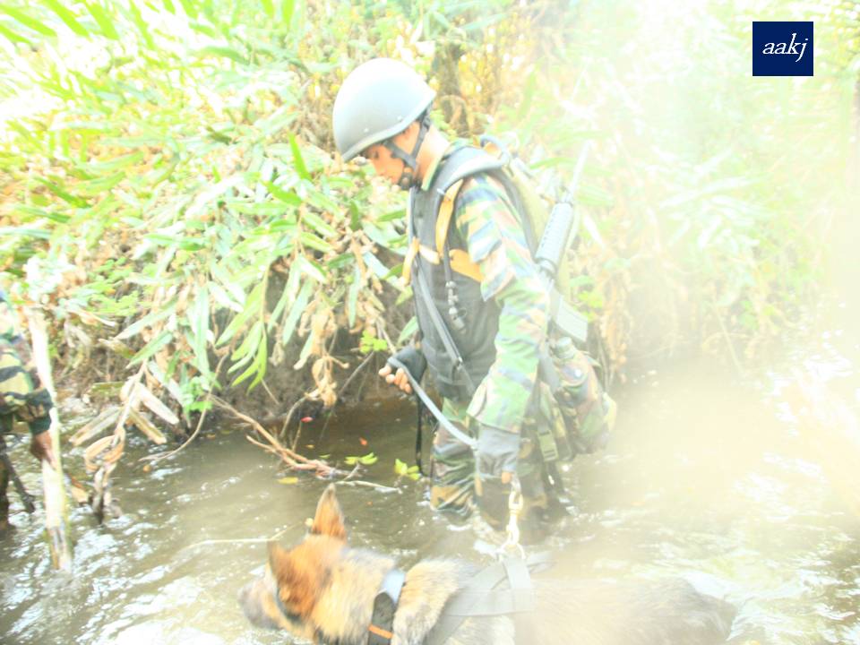 OPS DAULAT : EKSKLUSIF!!! Gambar2 Operasi Anjing Perang Mengesan Mayat ...
