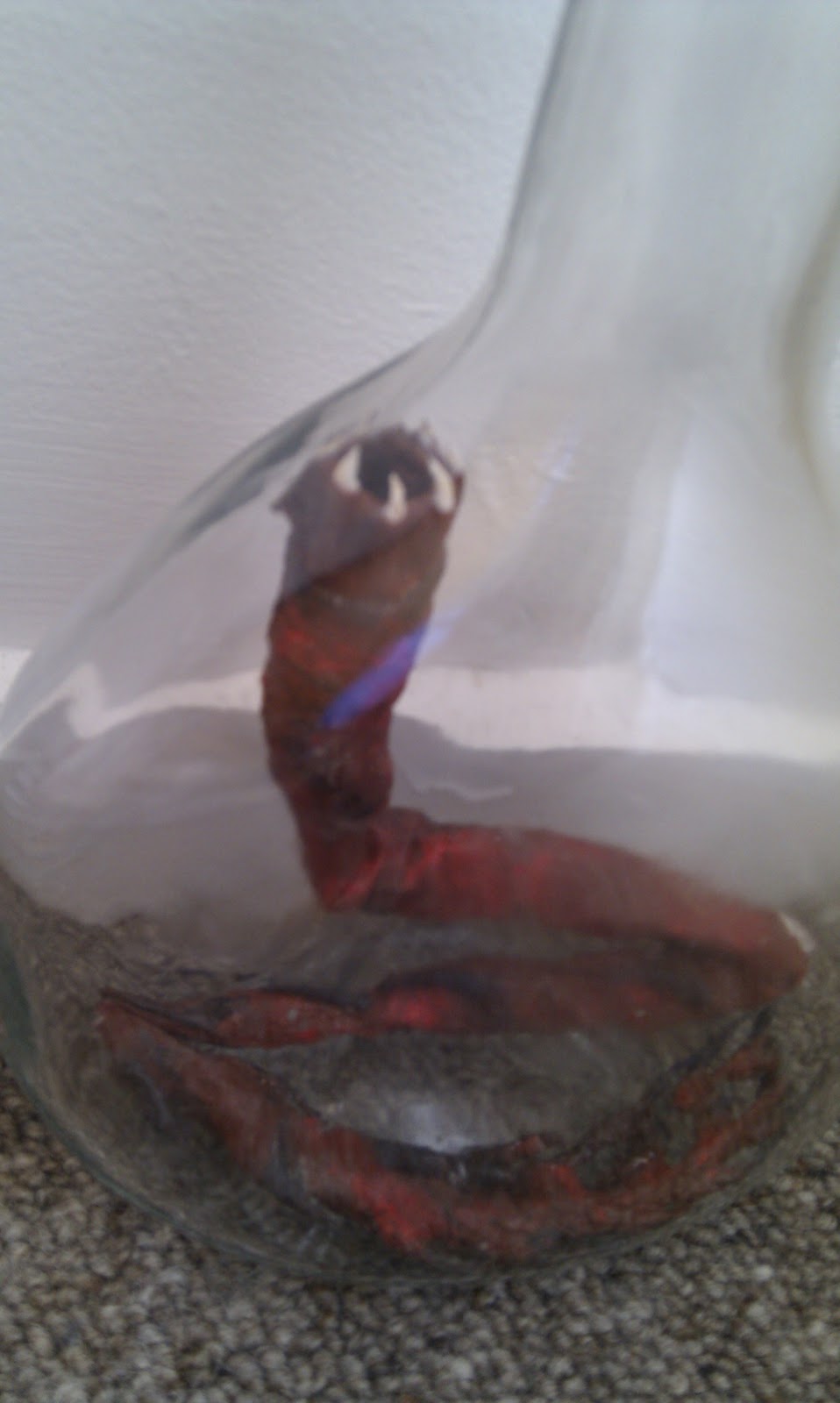 Mongolian death worm