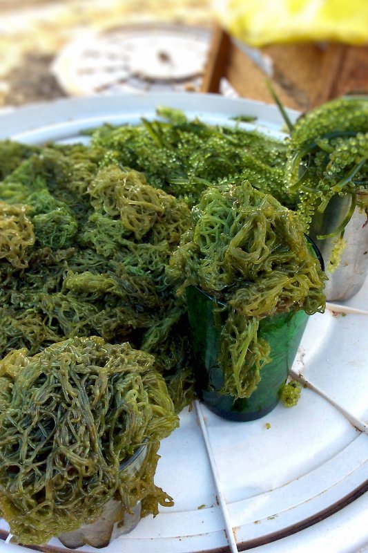 Love-me-knots | dead-hungry