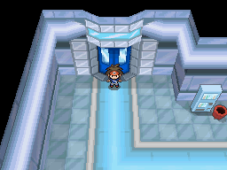 Turismo Pokémon: Rota 15, Marvelous Bridge, Rota 16 e Lostlorn Forest