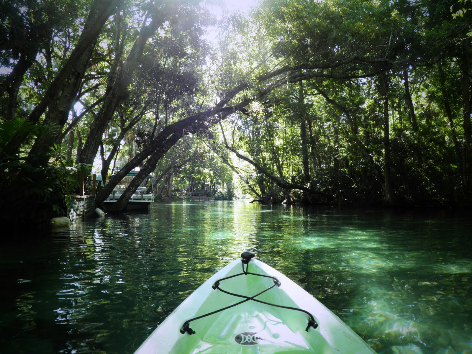 Views From Our Kayak: Weeki Wachee River