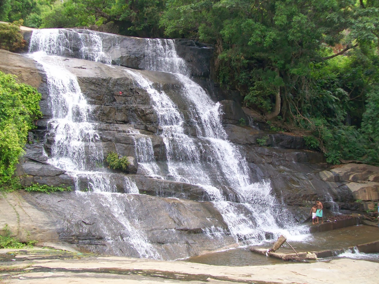 Tamilnadu Tourism: Megamalai