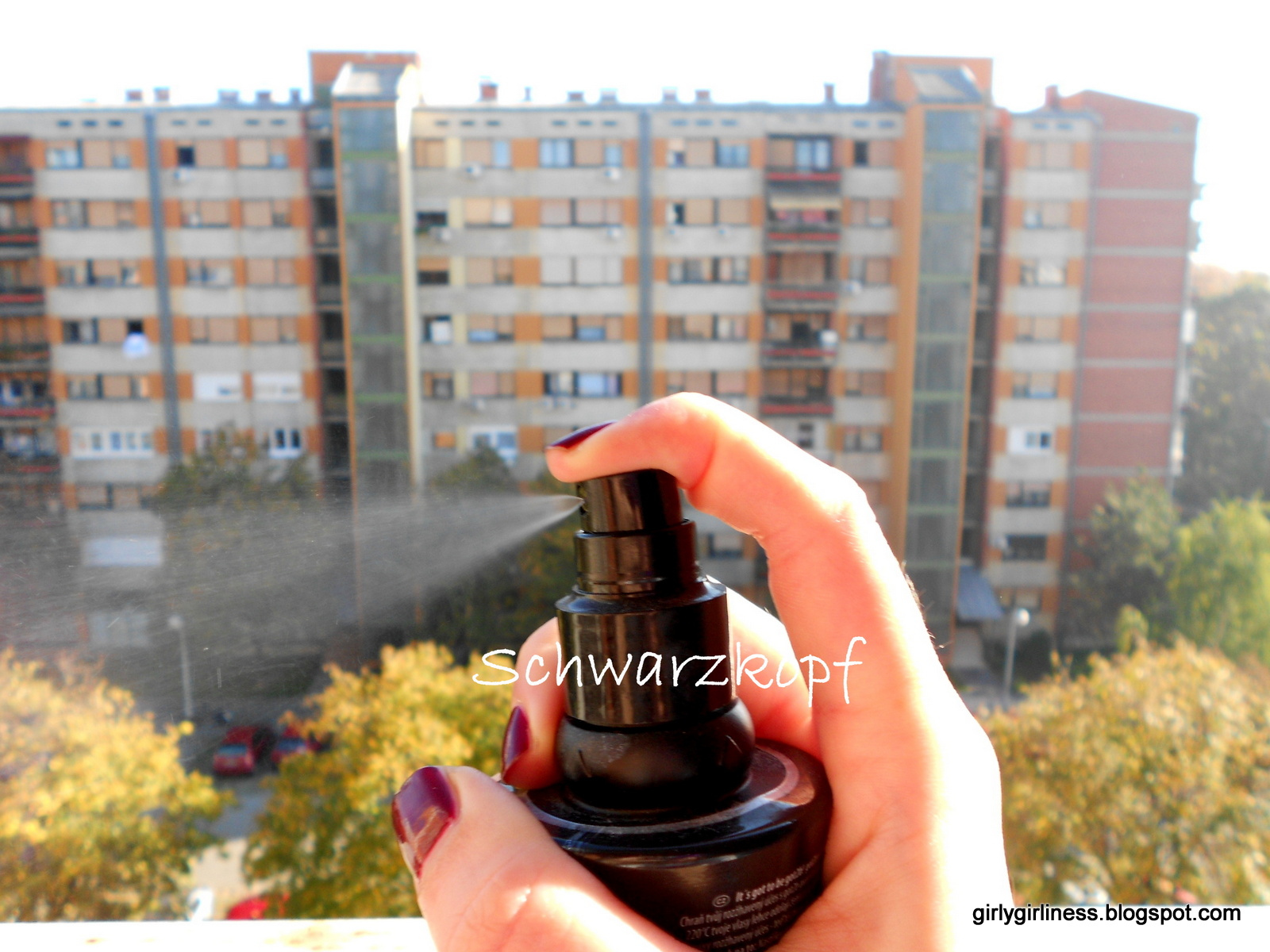 Usporedba sprejeva za zaštitu kose od topline: Schwarzkopf, Pantene ...