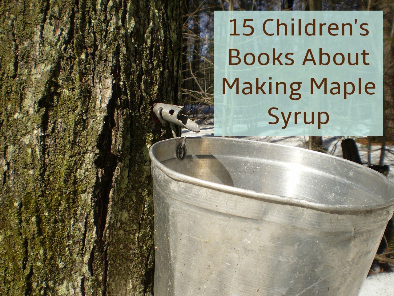15 Picture Books About Making Maple Syrup