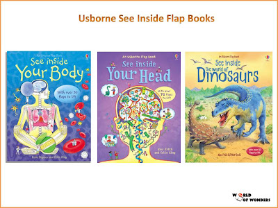 World of Wonders: Usborne See Inside Flap Books (21 Titles)