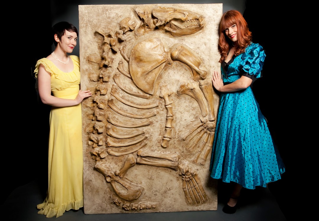 The Coastal Paleontologist: The best known fossil pinniped, part 3 ...