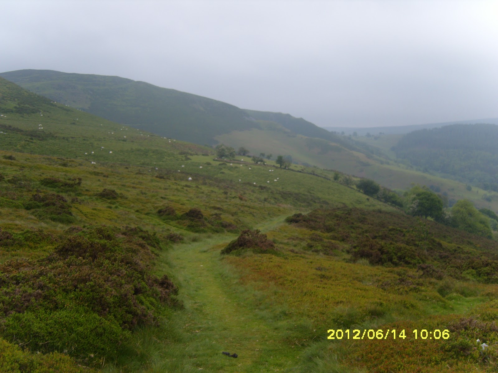 Harris Hikers: Eglwyseg Rocks and the Old Horseshoe Pass 14 th June 2012