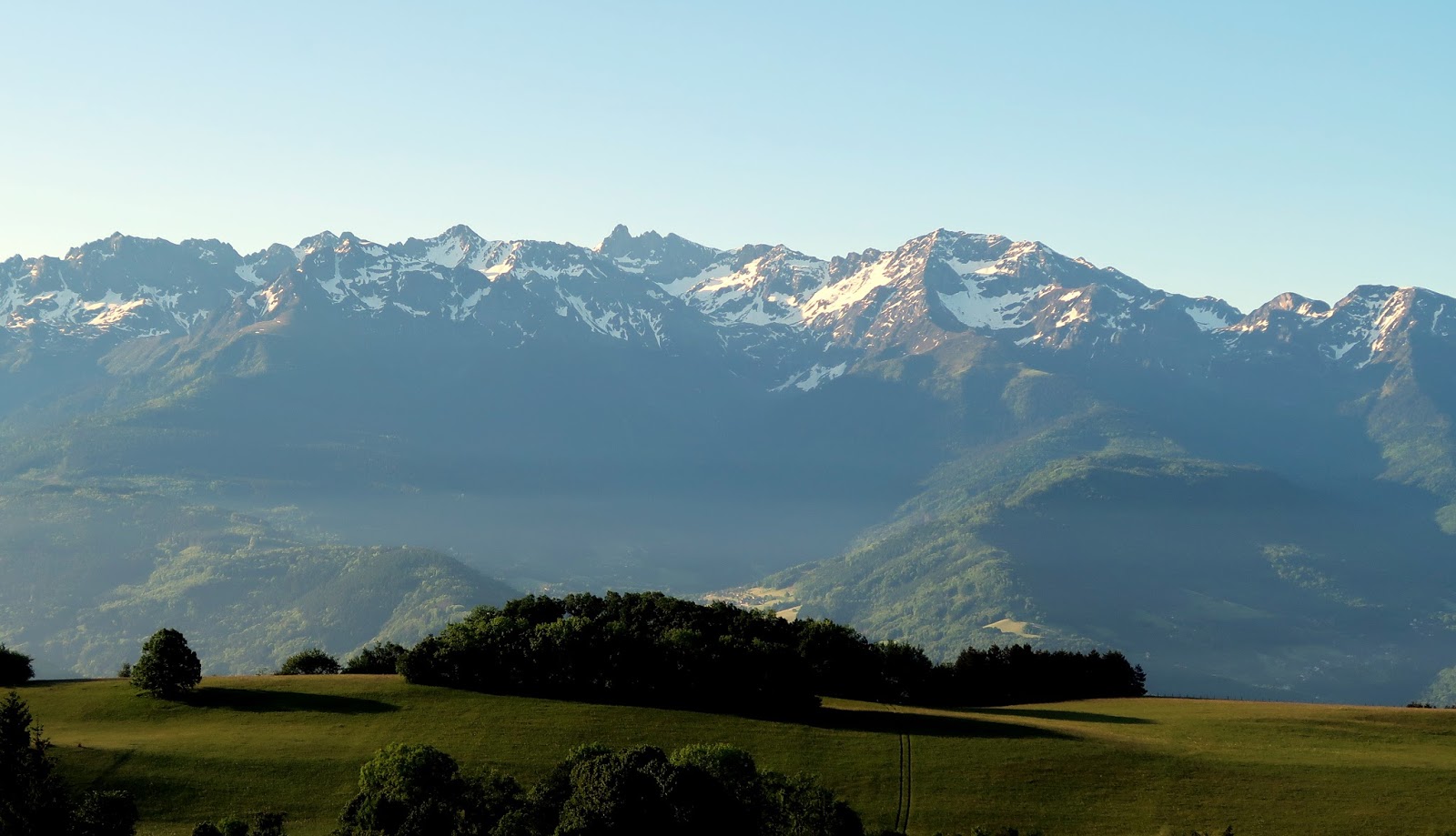 trekking de bernard: Martagons en boutons et raiponces partout