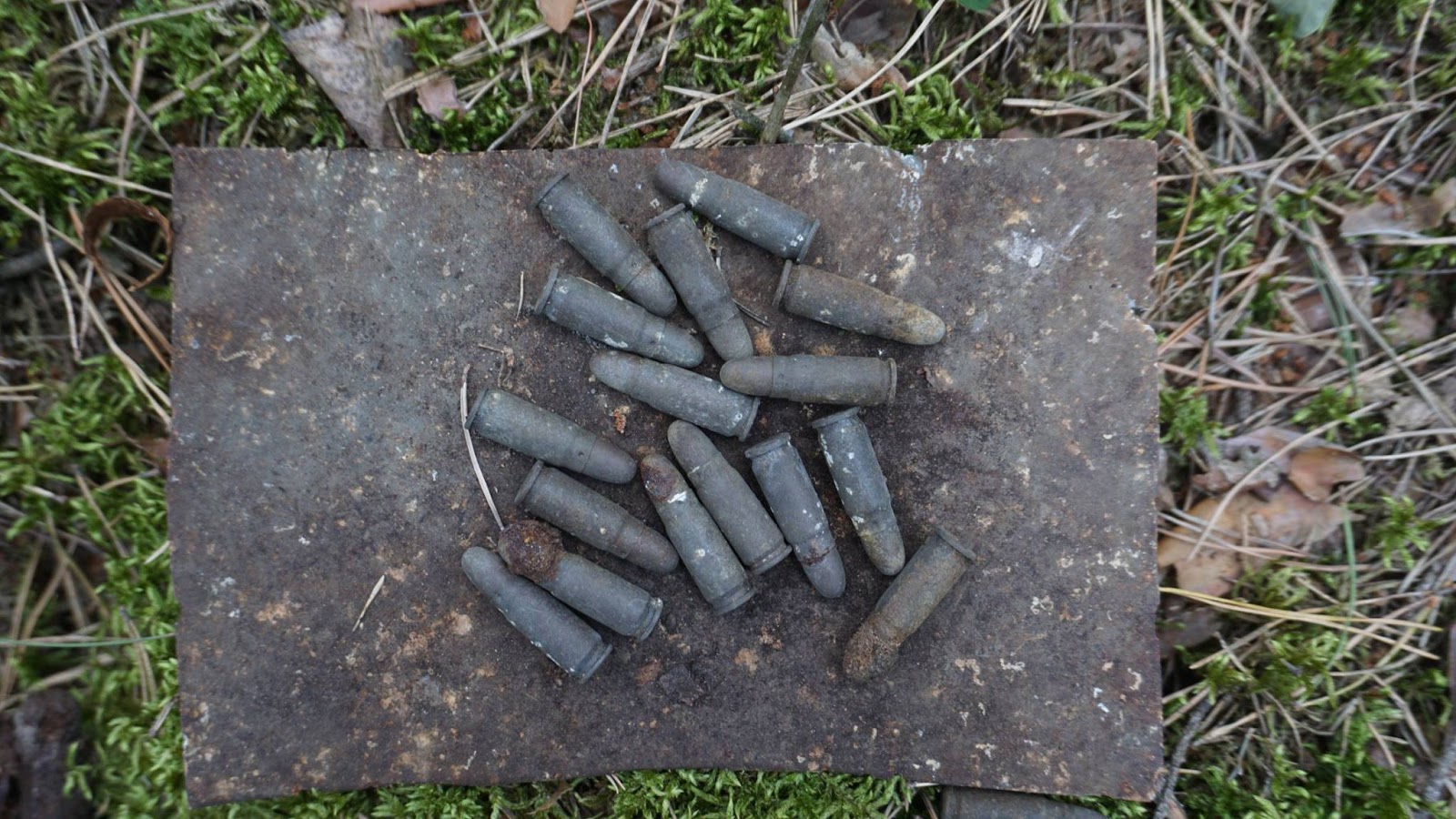 WW2 Relics - Metal Detecting