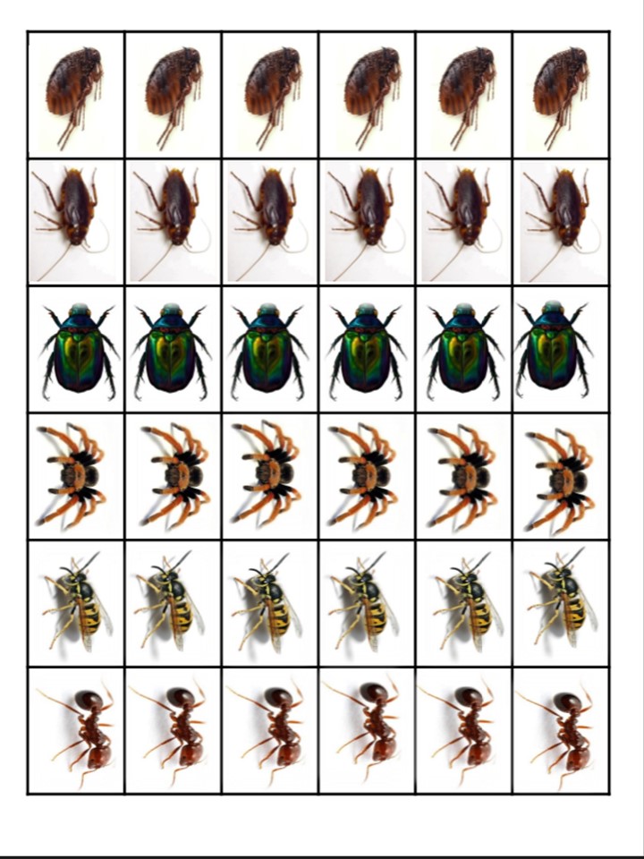 Educational Kismet : "Creepy Counters"