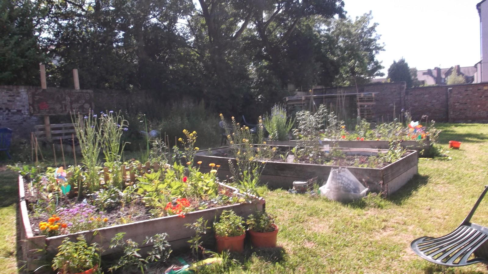 L8 Living Sustainably: Fern Grove Community Garden and the National ...