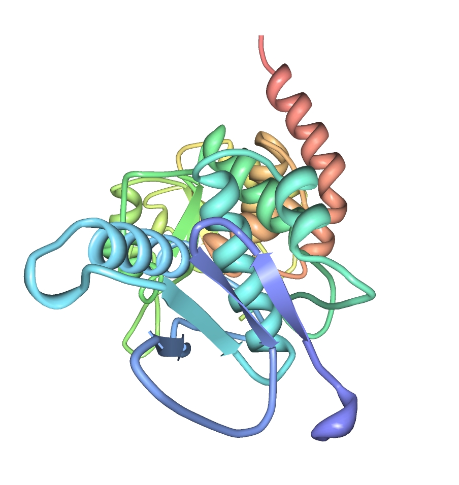 Funciones biológicas de las proteínas - Biología