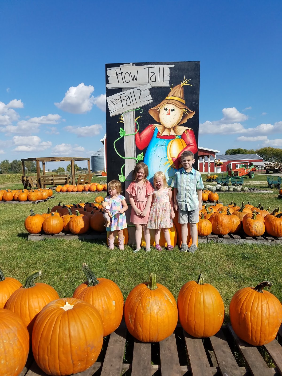 Corn, Beans, Pigs and Kids: Enchanted Acres Pumpkin Patch Scavenger Hunt