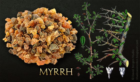 Shadows in Eden: Gold, Frankincense and Myrrh