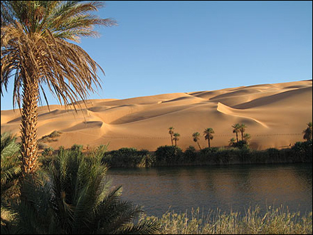 L’œil retient le velours de cet environnement.