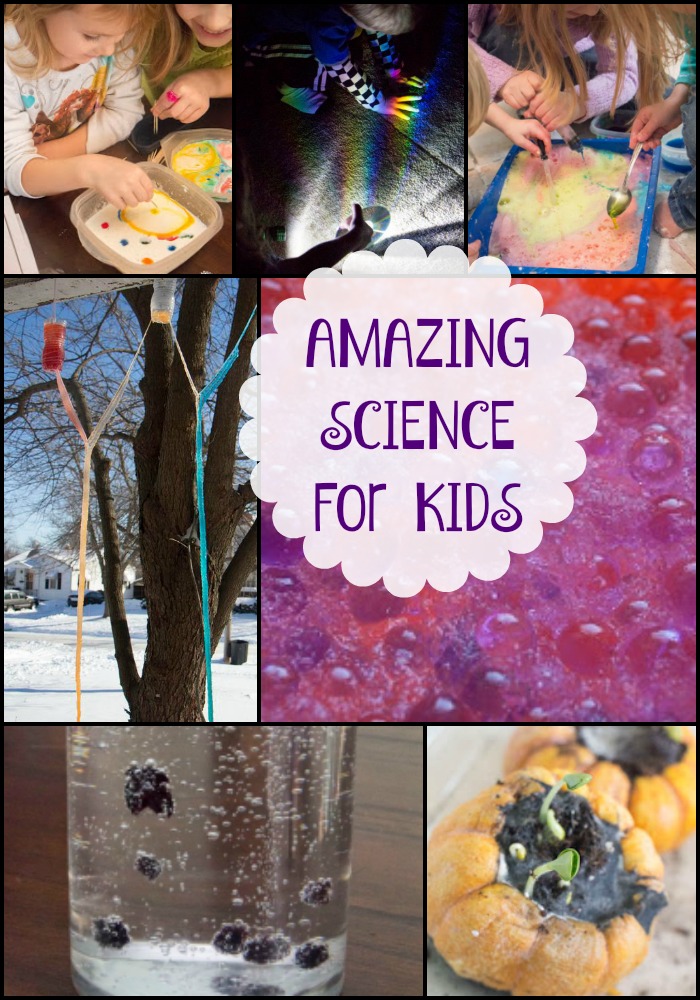 Science - Life with Moore Babies