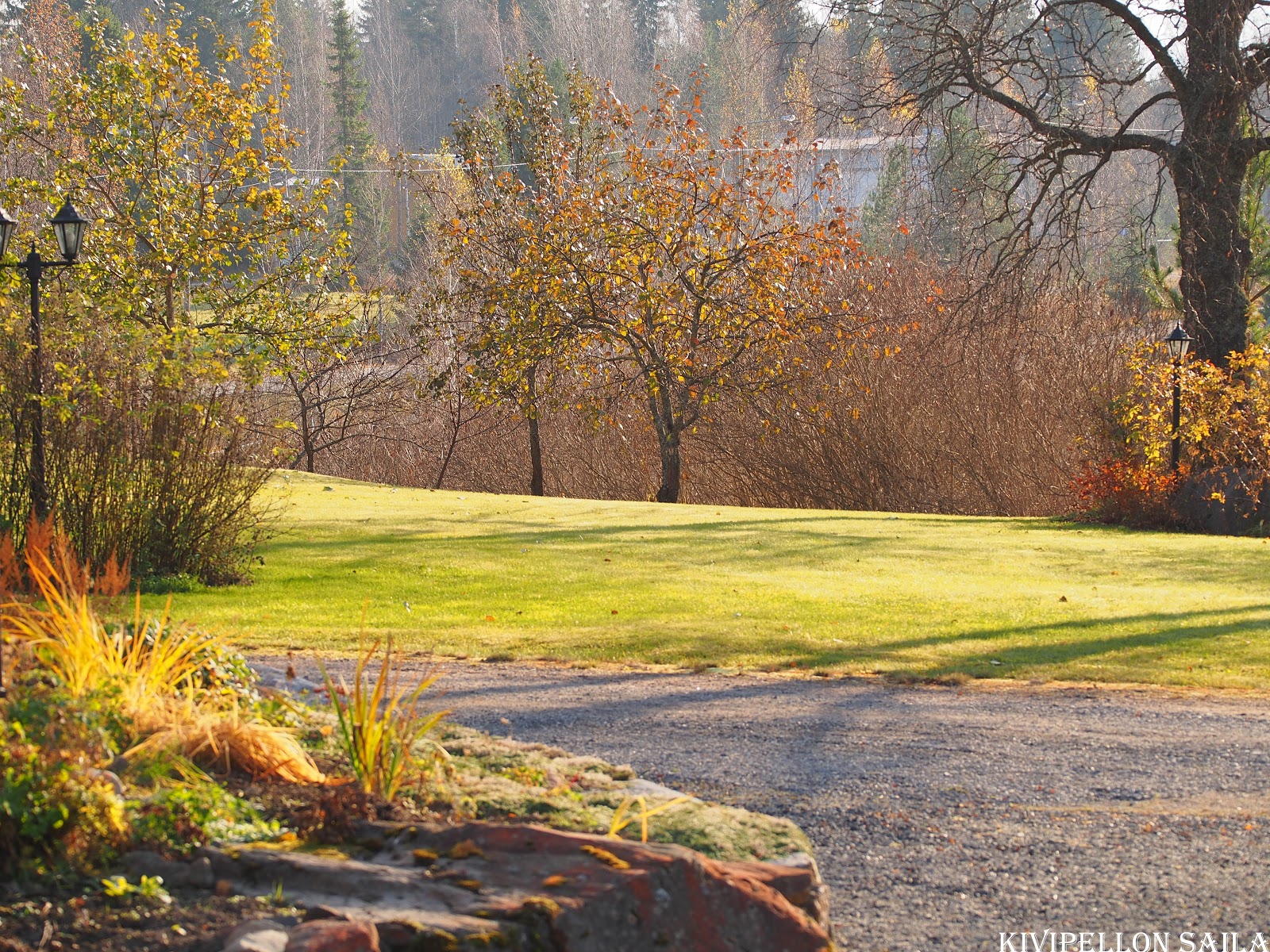 Kivipellon Saila: Ruoho on vihreämpää...